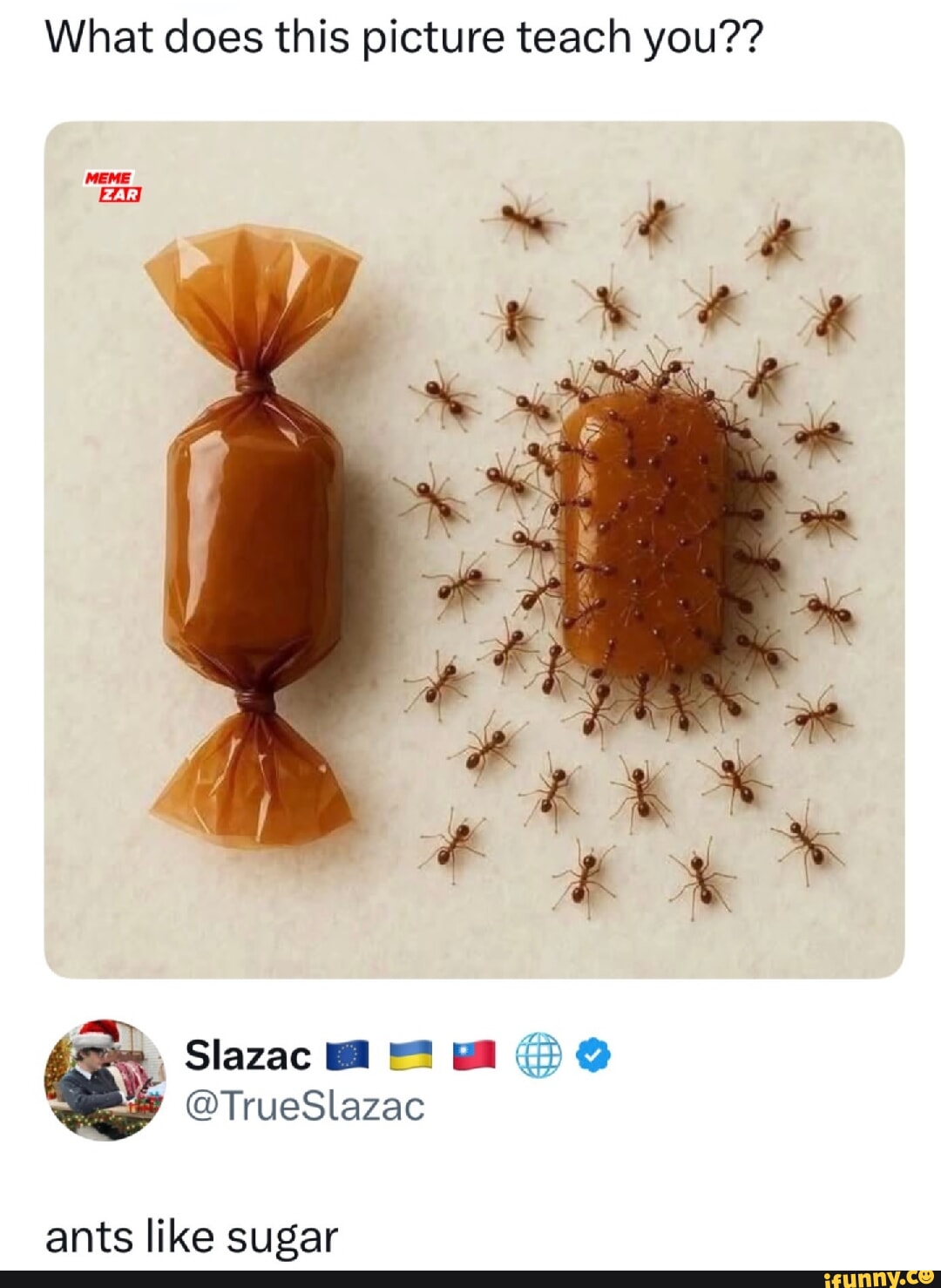 What does this picture teach you?? MEME Sezac @TrueSlazac ants like ...