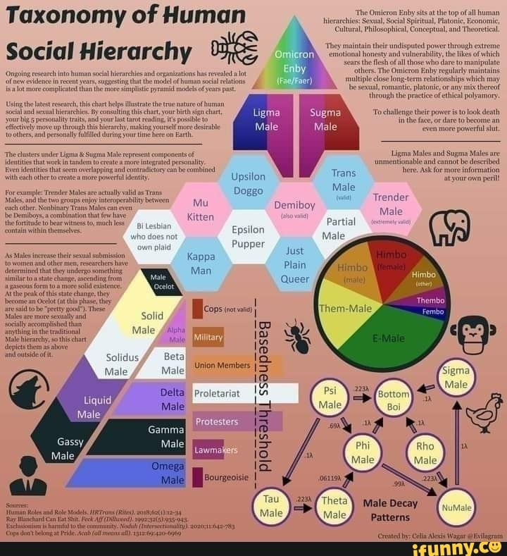 Taxonomy of Human Social Hierarchy 'Ongoing research into human social ...