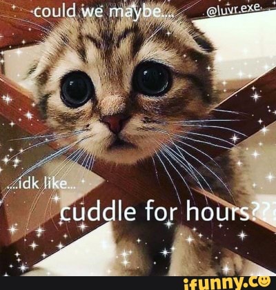 Cuddle memes. Best Collection of funny Cuddle pictures on iFunny