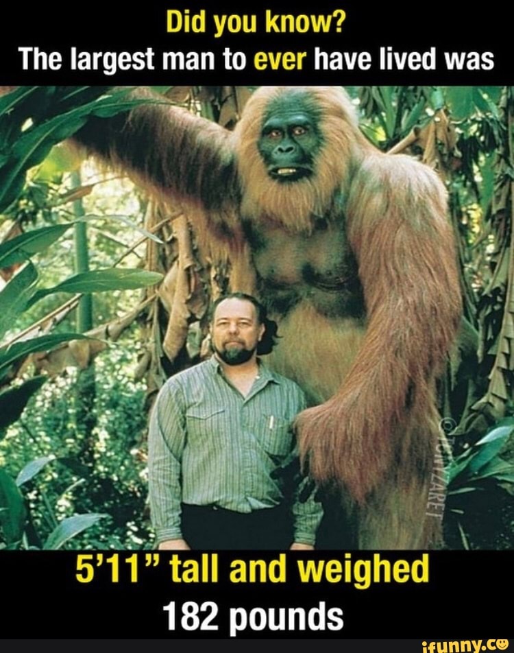 Did you know? The largest man to ever have lived was 5'11" tall and ...