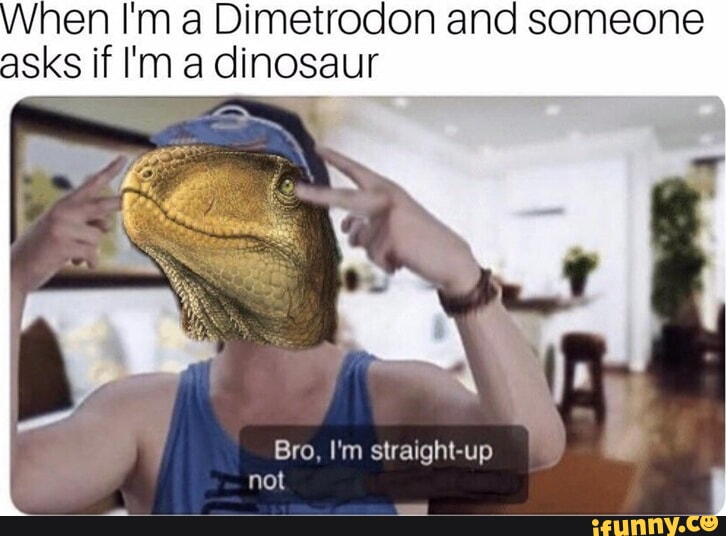 Dimetrodon memes. Best Collection of funny Dimetrodon pictures on iFunny