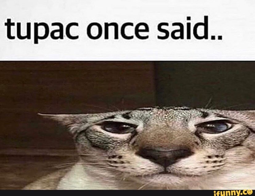 Tupac once said... - iFunny