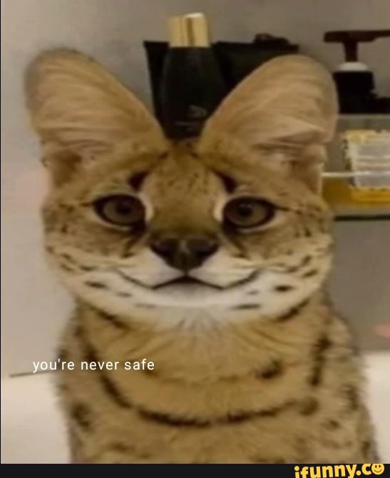 You're never safe - iFunny