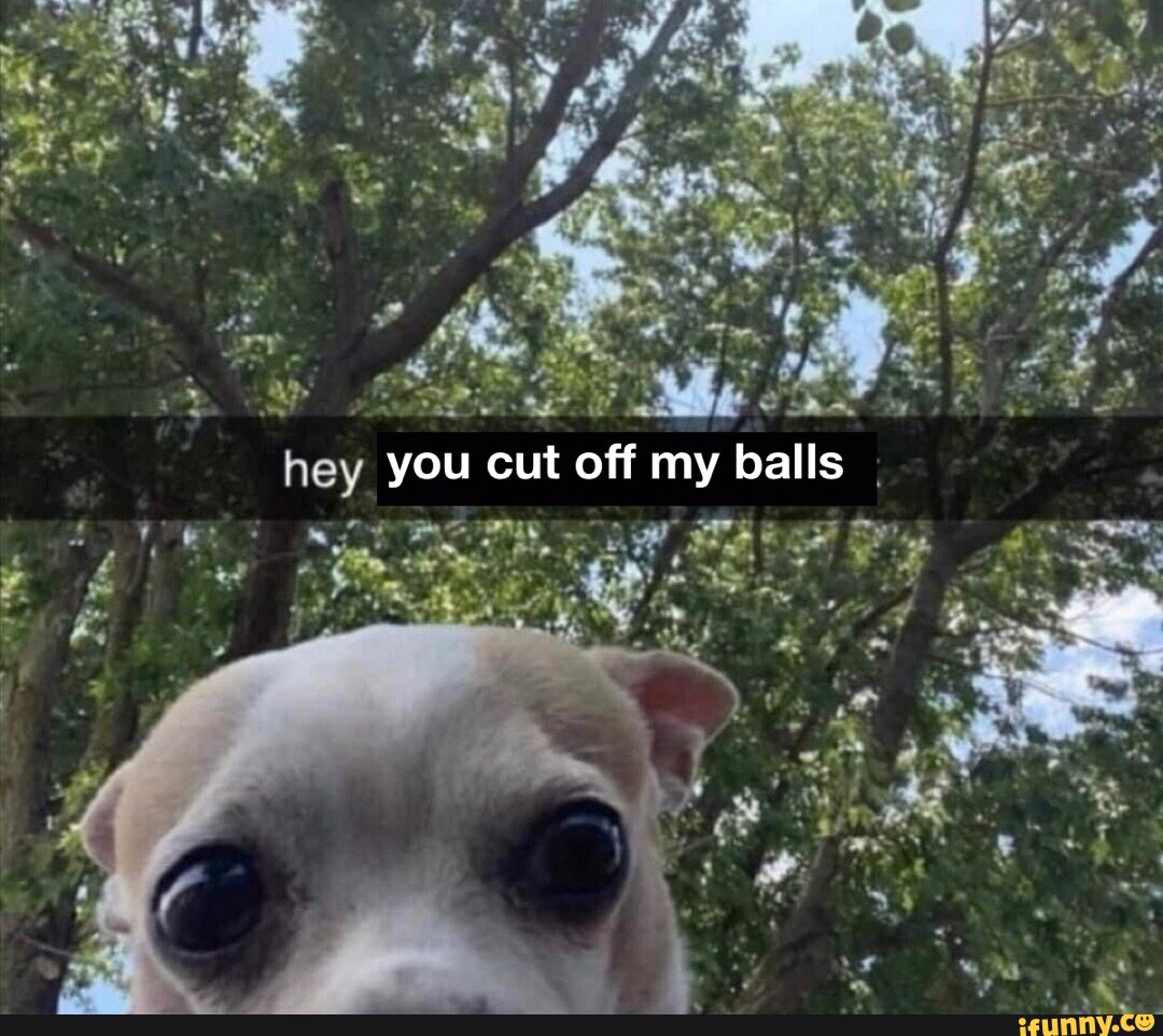 Hey you cut off my balls - iFunny