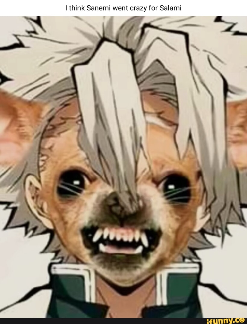 Sanemi memes. Best Collection of funny Sanemi pictures on iFunny