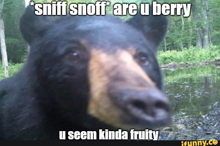 Snoff memes. Best Collection of funny Snoff pictures on iFunny