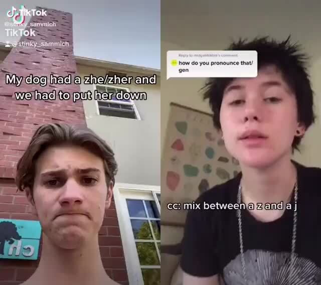 Zhe/Zher pronouns - ch Tiktok My we hac to put her - )