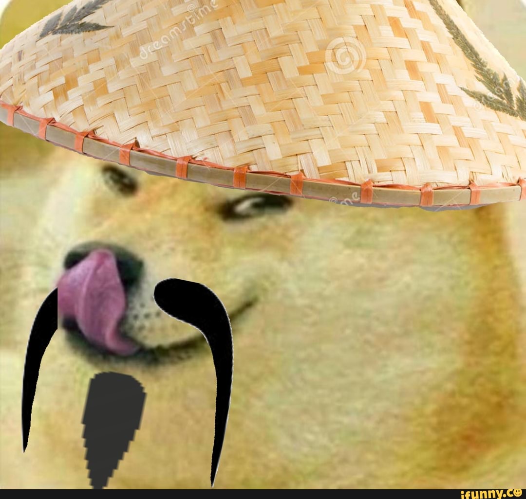 Asiandoge memes. Best Collection of funny Asiandoge pictures on iFunny