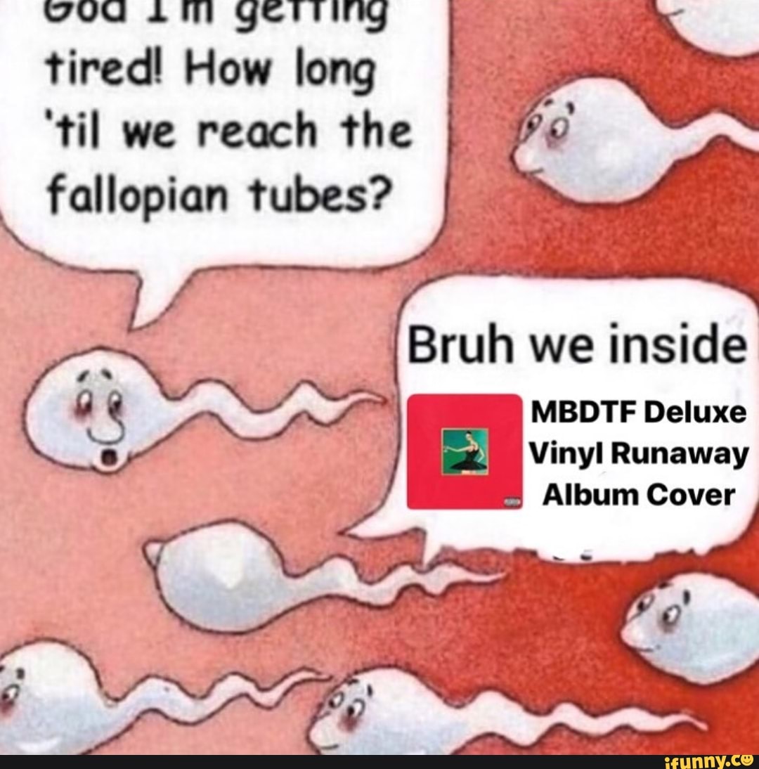 Tired! How long "til we reach the fallopian tubes? Po IBruh we inside ...