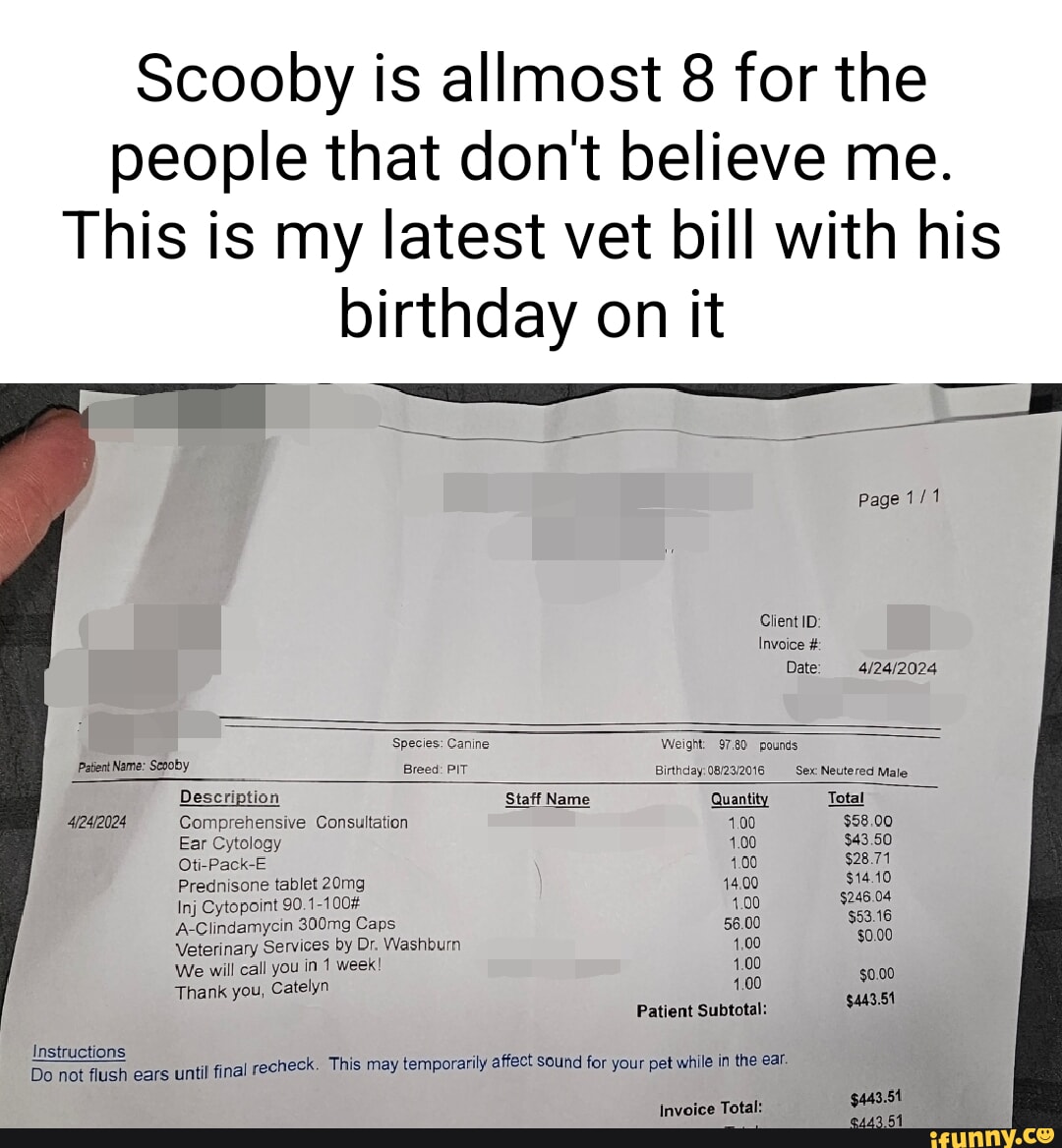 Invoice memes. Best Collection of funny Invoice pictures on iFunny