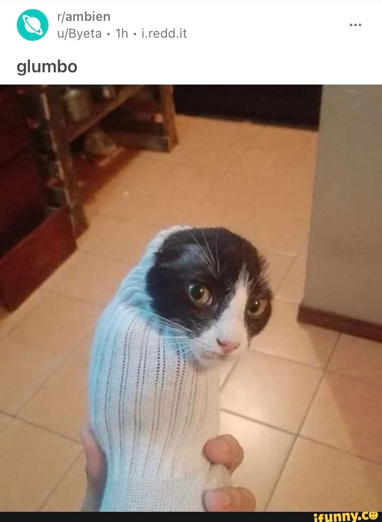 Glumbo memes. Best Collection of funny Glumbo pictures on iFunny