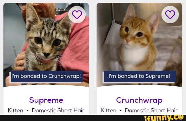 Bonded to Crunchwrap! I I'm bonded to Supreme! Supreme Crunchwrap ...