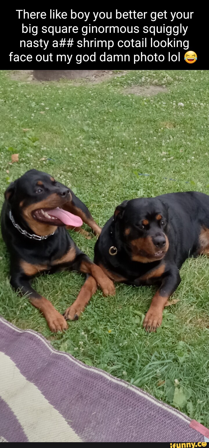 Squiggly memes. Best Collection of funny Squiggly pictures on iFunny