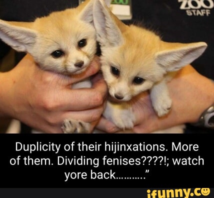 Duplicity memes. Best Collection of funny Duplicity pictures on iFunny
