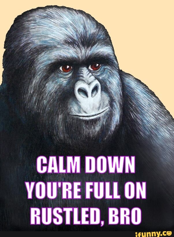 Jimmies Rustled Gorilla