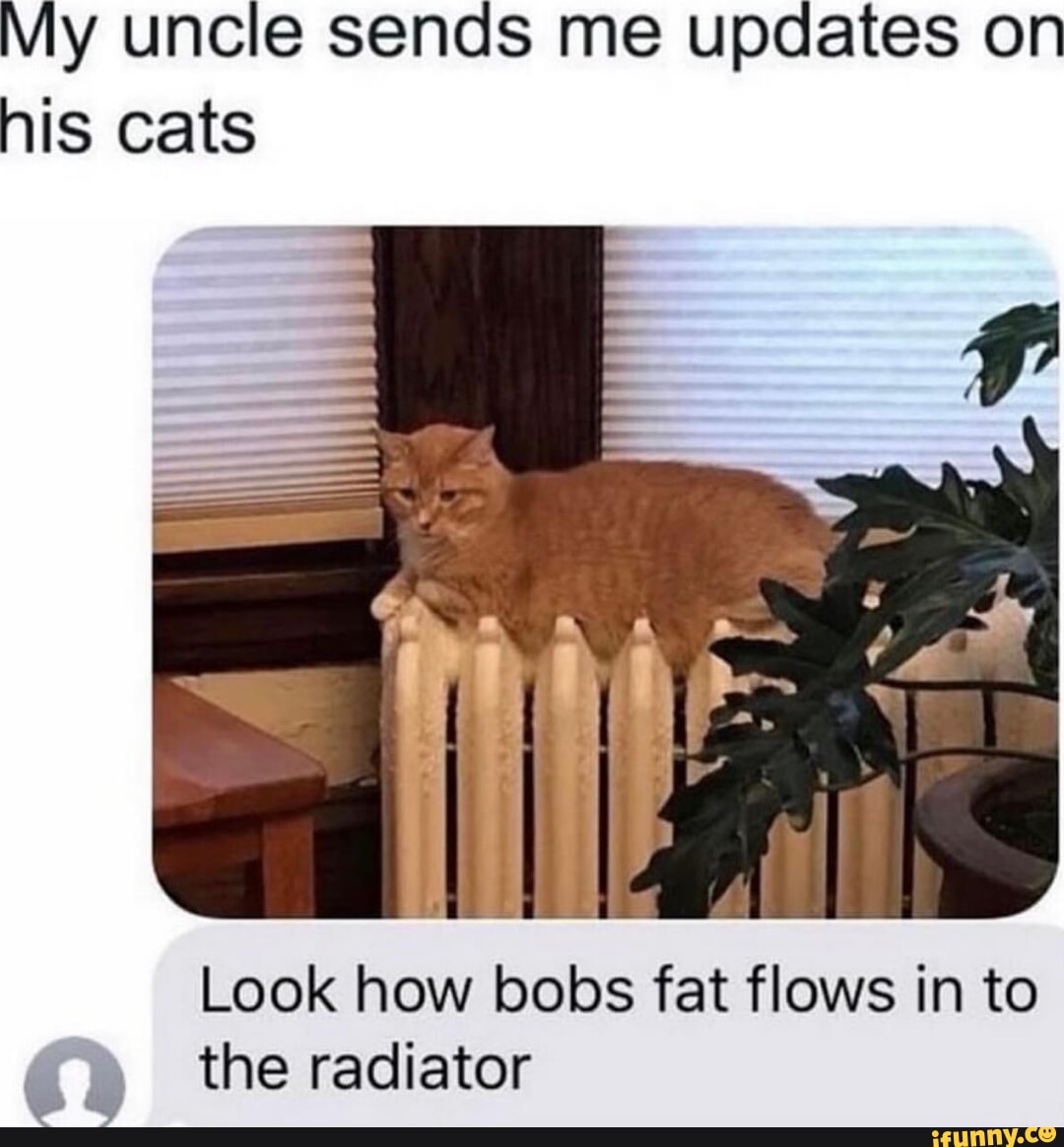 Radiator memes. Best Collection of funny Radiator pictures on iFunny