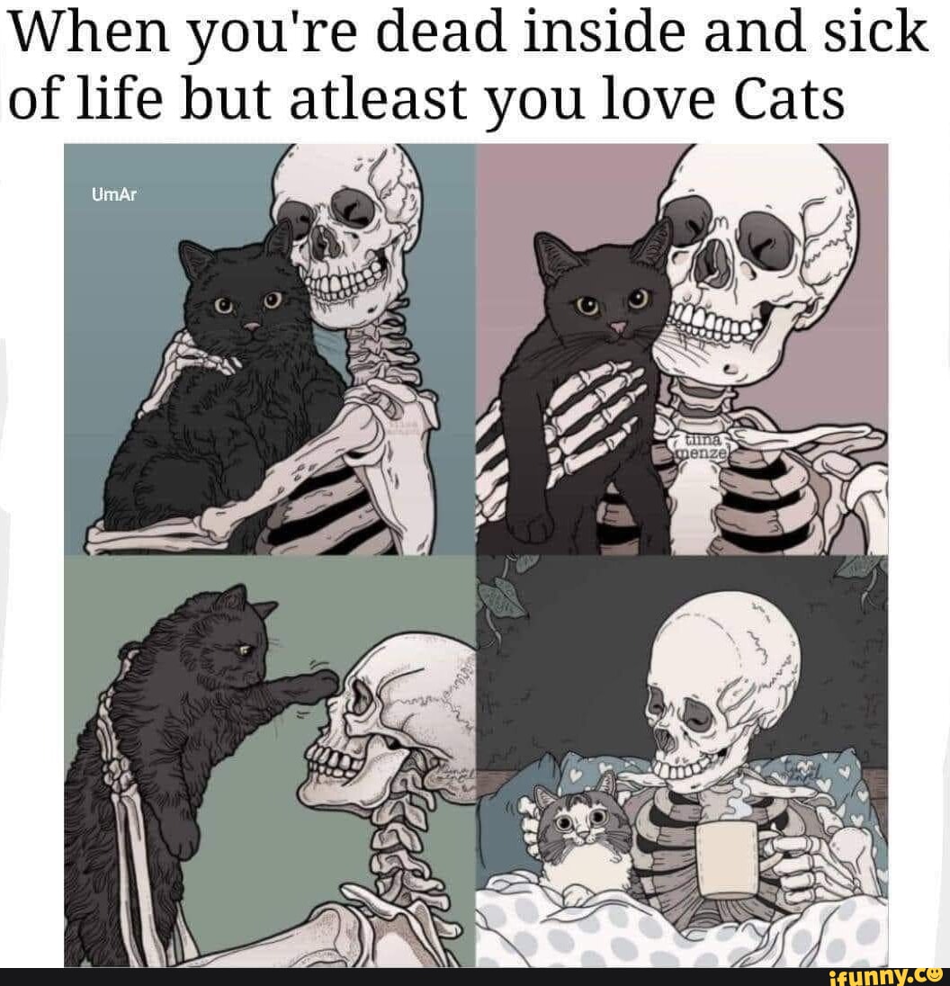 Video memes od8h8egxA by memerdude99 - iFunny