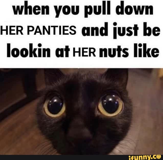 When You Pull Down Her Panties And Just Be Lookin At Her Nuts Like Ifunny 0837