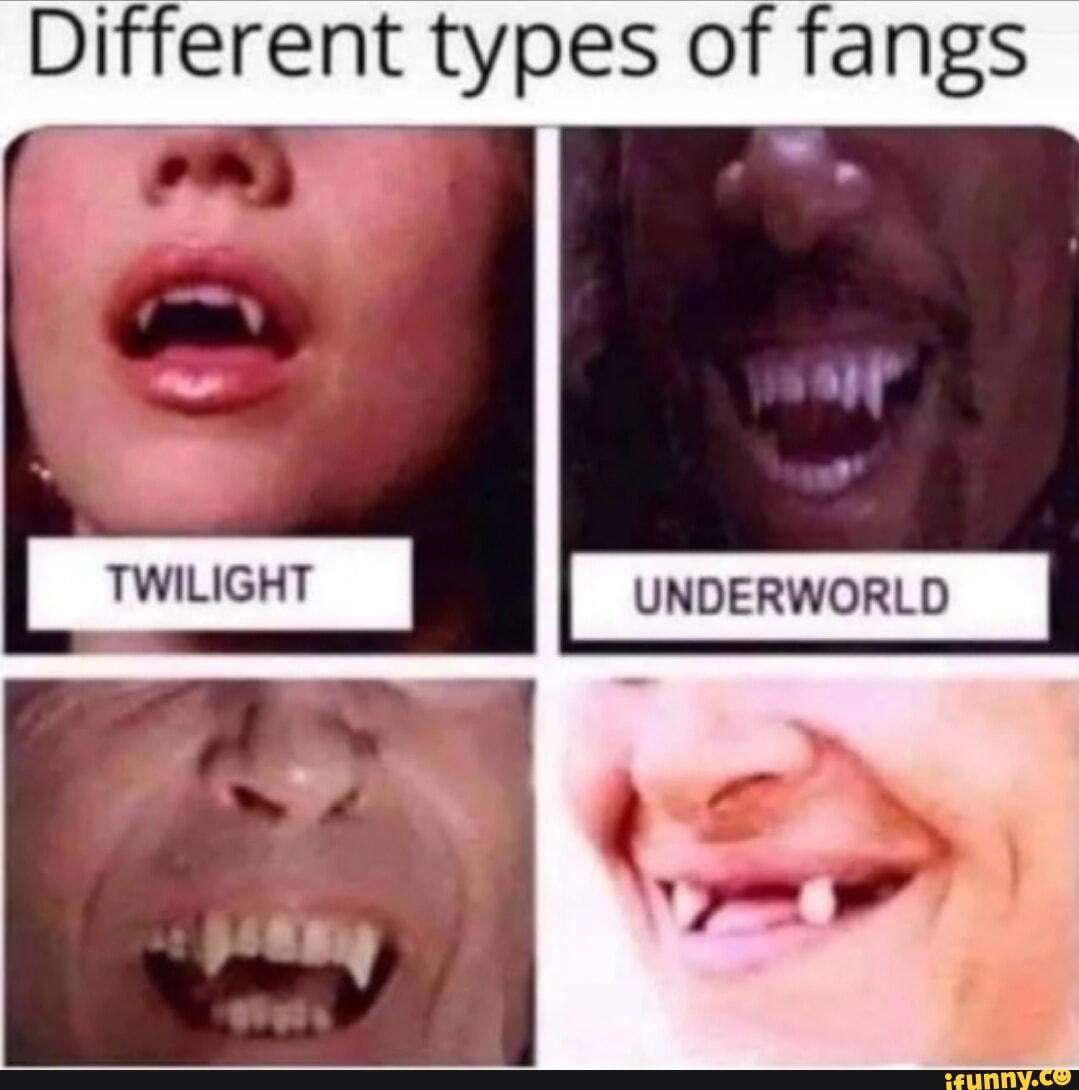 Different types of fangs TWILIGHT UNDERWORLD - iFunny