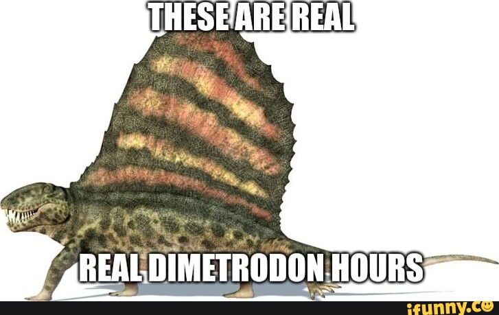 REAL DIMETRODON HOURS - iFunny