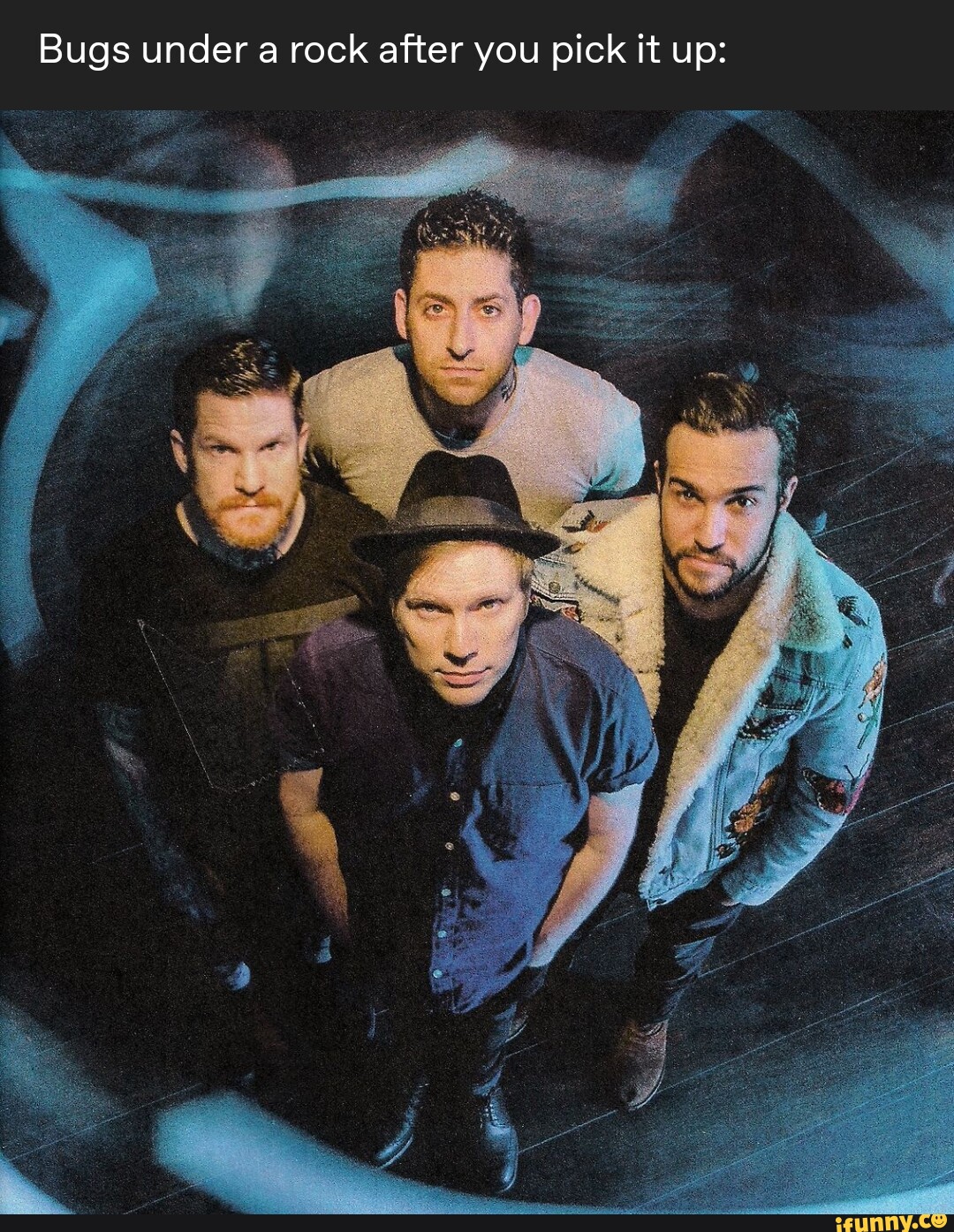 Bugs under a rock after you pick it up: - iFunny