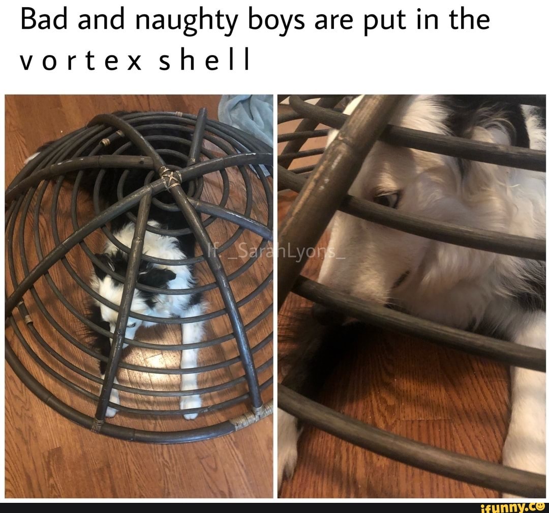 Bad and naughty boys are put in the vortex shell - iFunny