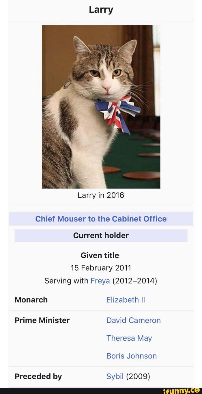 10_downing_street memes. Best Collection of funny 10_downing_street ...