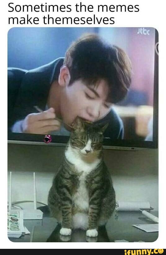 Sometimes the memes make themeselves - iFunny