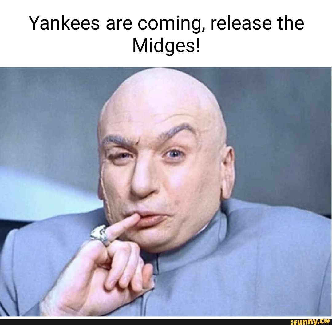 Midges memes. Best Collection of funny Midges pictures on iFunny