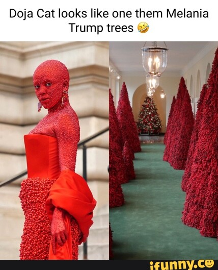 Doja Cat looks like one them Melania Trump trees - iFunny