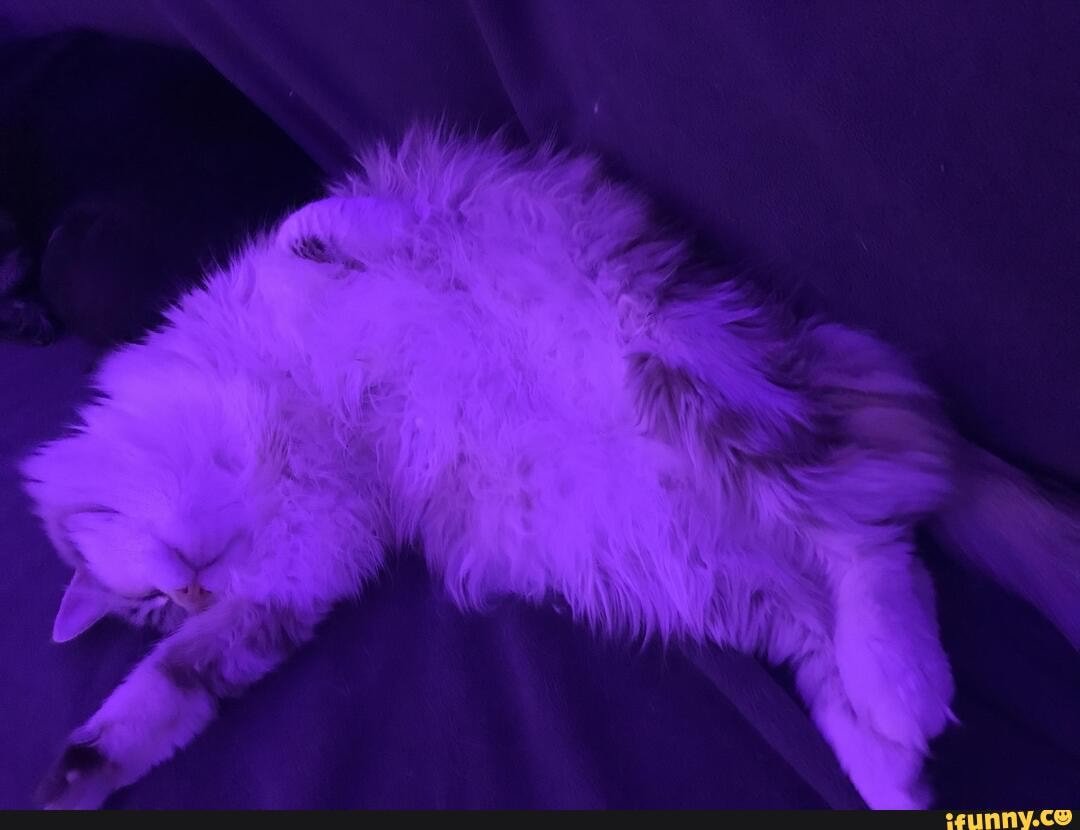 Erythema memes. Best Collection of funny Erythema pictures on iFunny