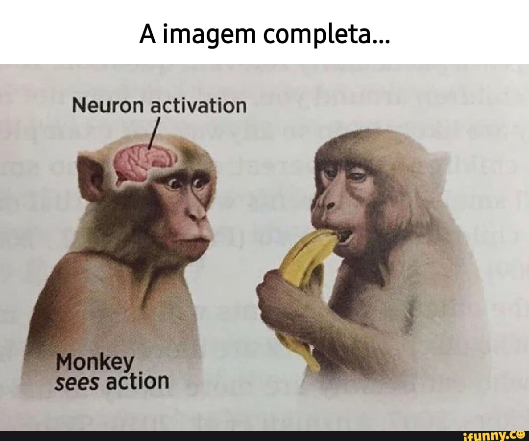 A imagem completa... Neuron activation I Al Monkey - iFunny Brazil