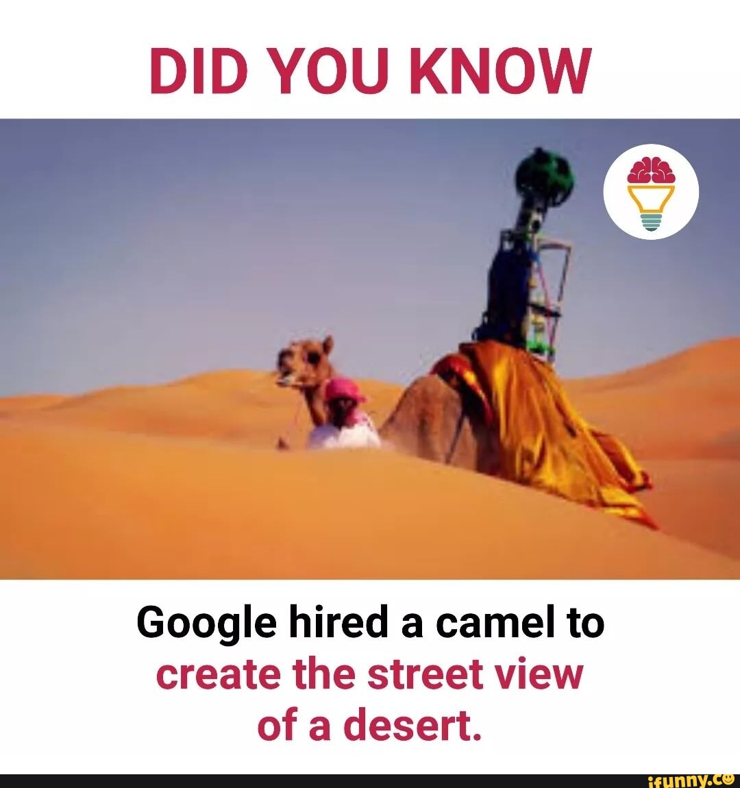 DID YOU KNOW Google hired a camel to create the street view of a desert ...