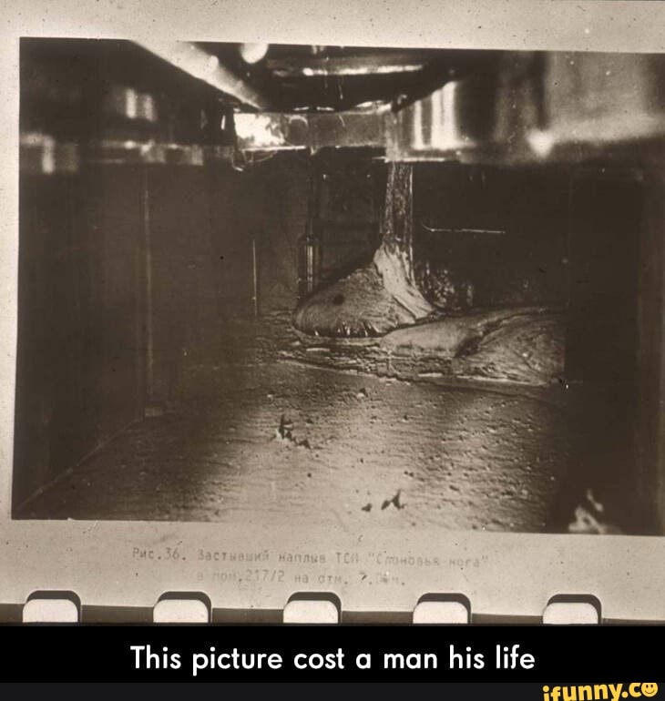 This picture cost man his life - iFunny