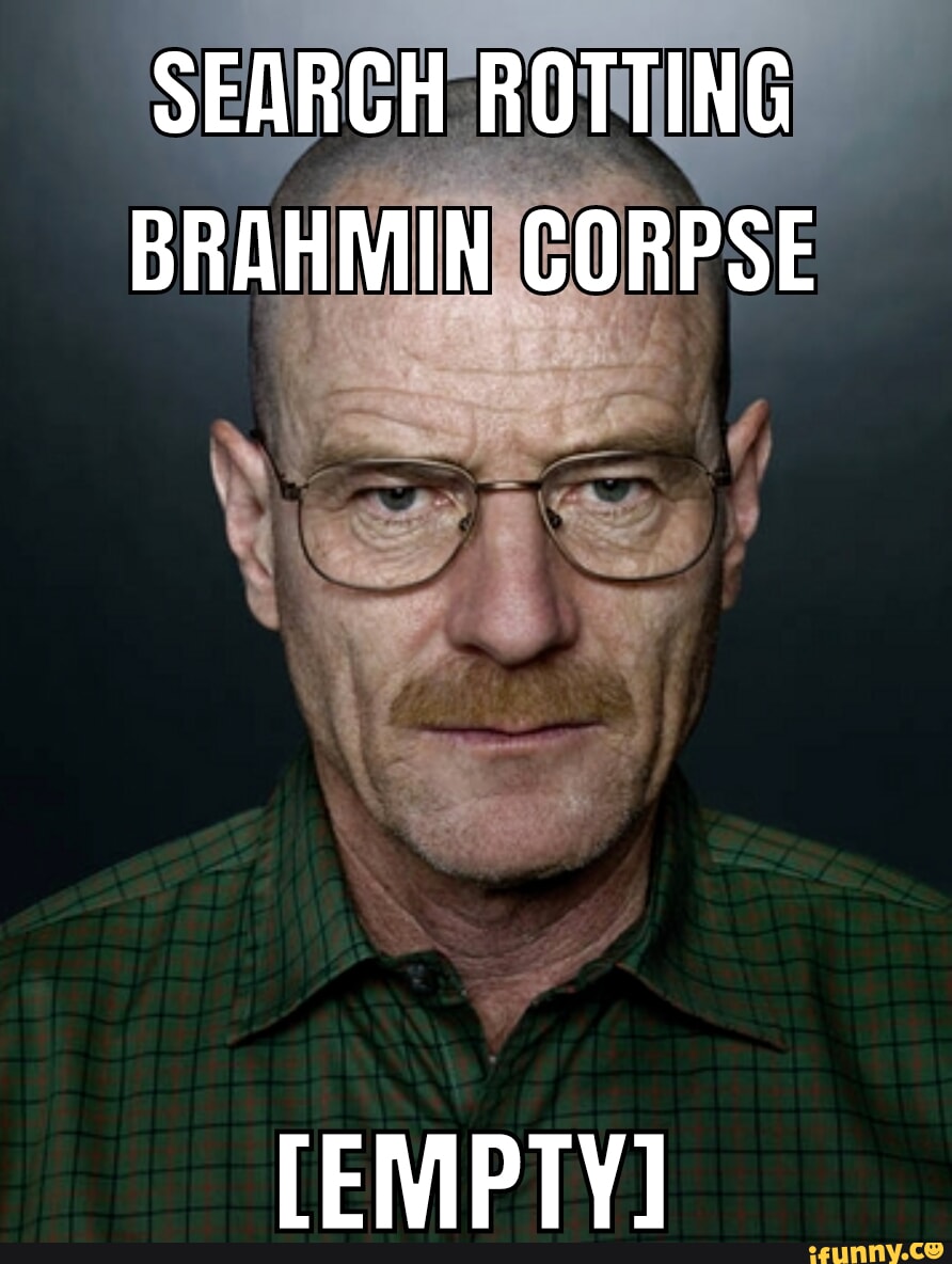 Brahmin memes. Best Collection of funny Brahmin pictures on iFunny