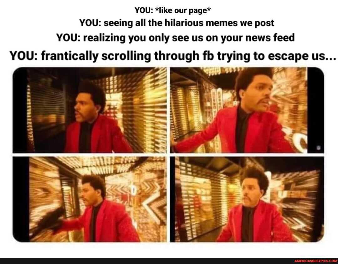 YOU: *like our page* YOU: seeing all the hilarious memes we post YOU ...