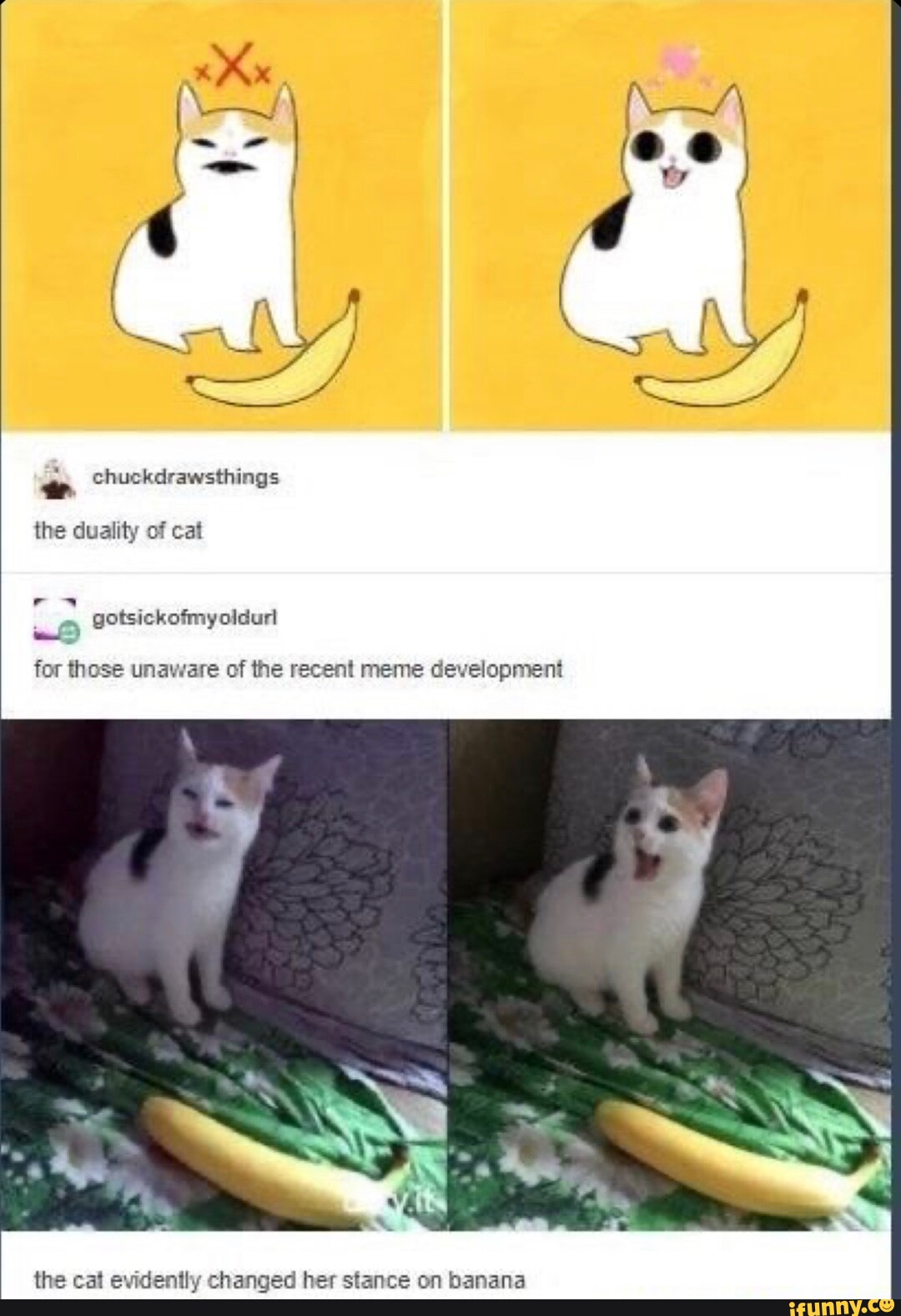 Es I I chuckdrawsthings the duality of cat for those unaware of the ...