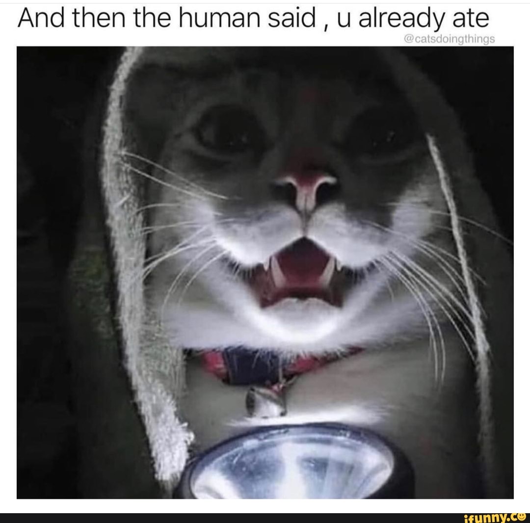 And then the human said , u already ate @eatsdoingthings - iFunny