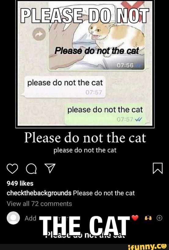 Please do not the cat please do not the cat Please do not the cat ...
