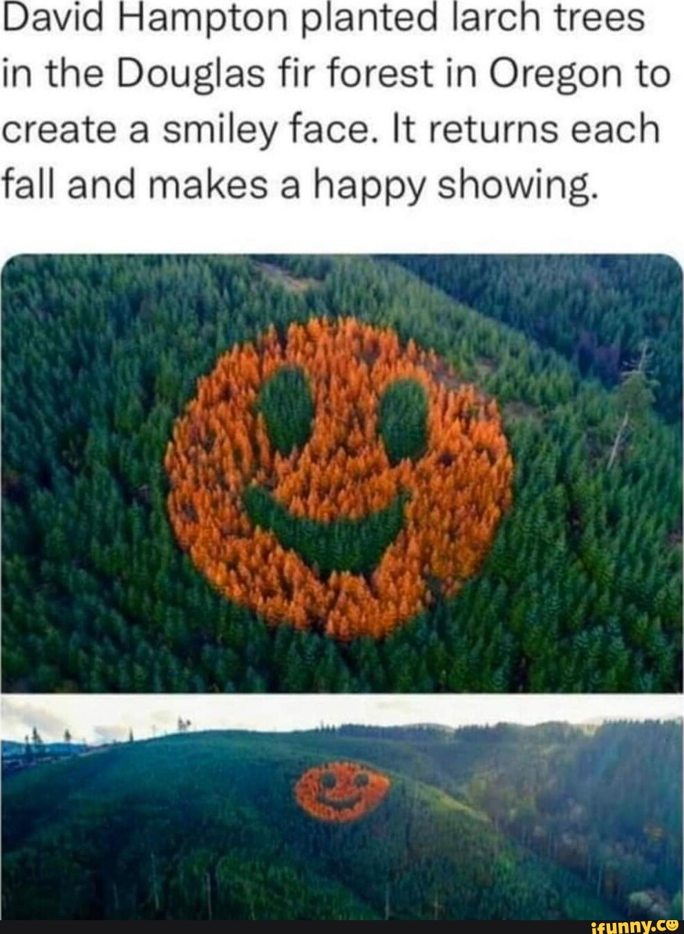 Smiley memes. Best Collection of funny Smiley pictures on iFunny