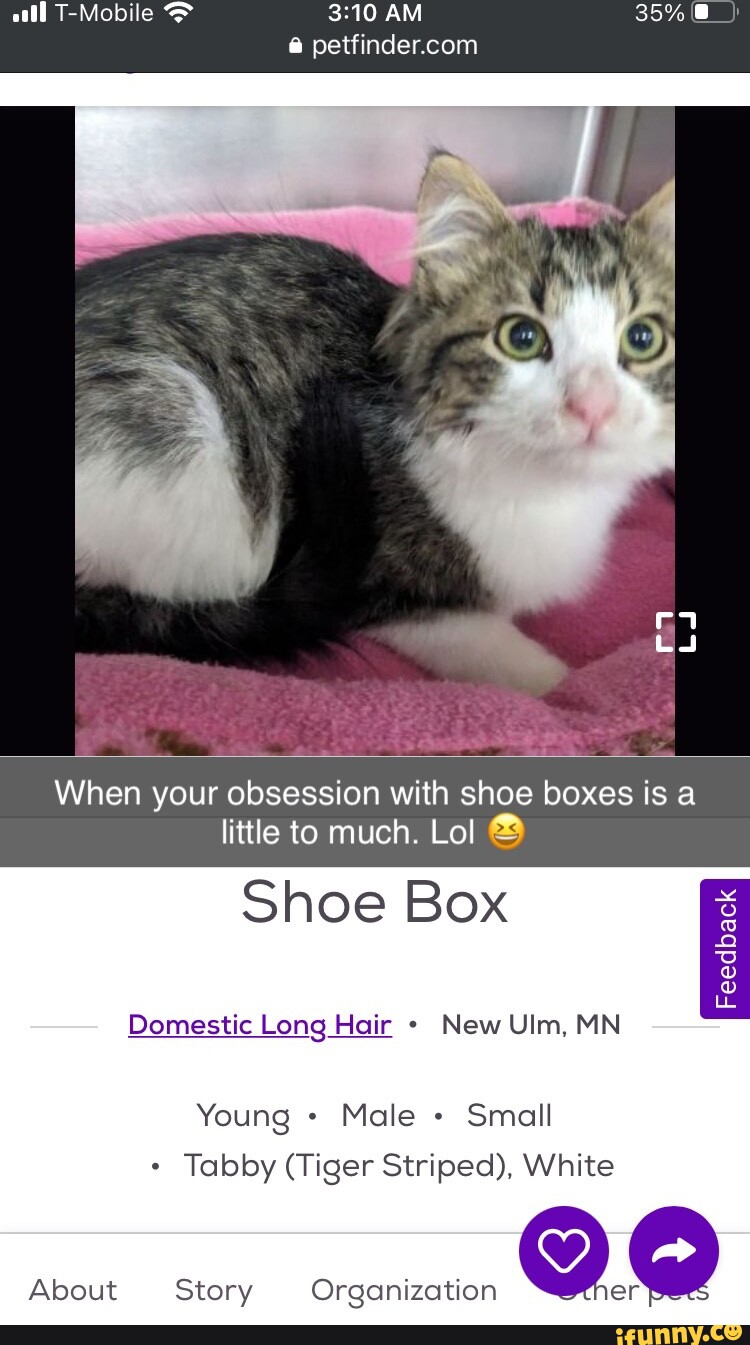 Petfinder memes. Best Collection of funny Petfinder pictures on iFunny