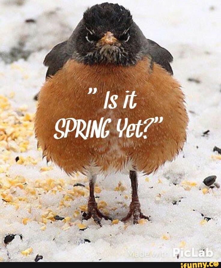 Spring memes. Best Collection of funny Spring pictures on iFunny