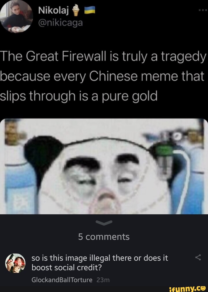 @nikicaga The Great Firewall is truly a tragedy because every Chinese ...