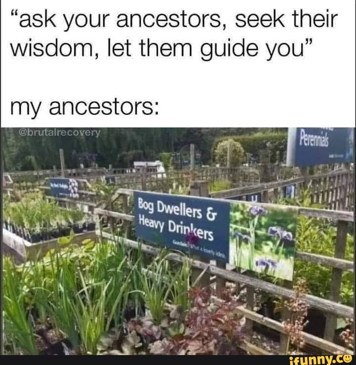 Ancestors memes. Best Collection of funny Ancestors pictures on iFunny
