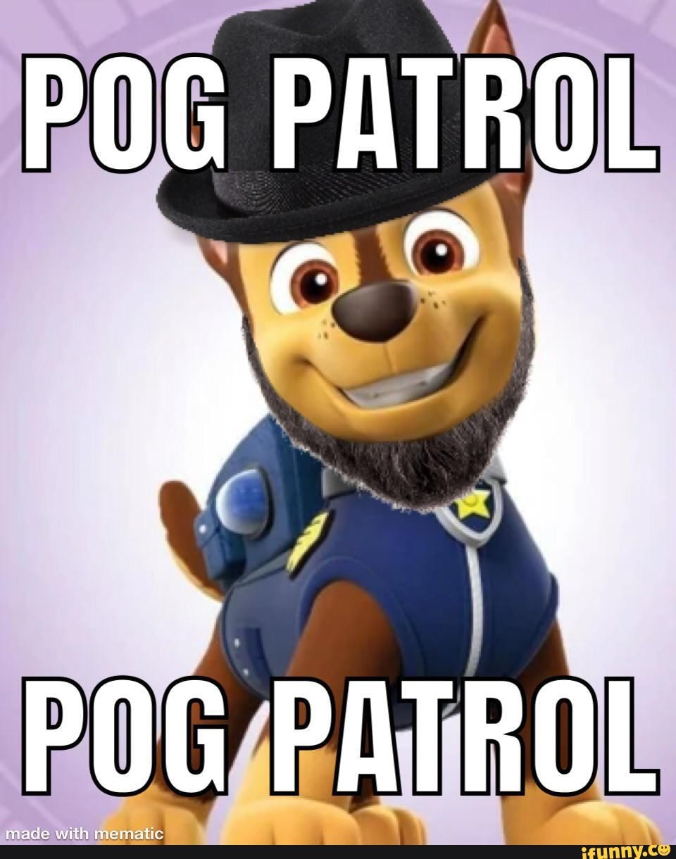 POG PATROL POG PATROL - iFunny