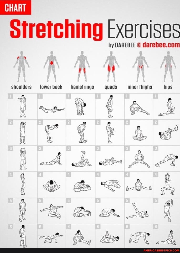 CHART Stretching Exercises by ESE darebee.com shoulders lowerback ...