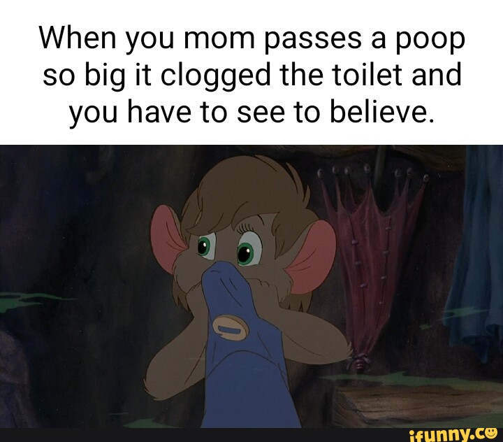 When you mom passes a poop so big it clogged the toilet and you have to ...