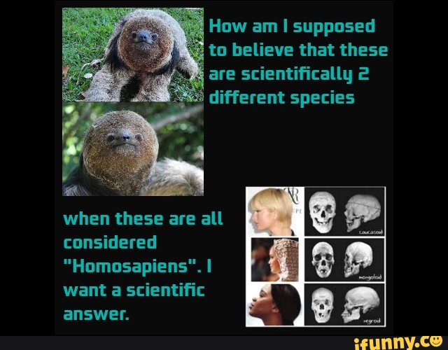 Skullmeasurements memes. Best Collection of funny Skullmeasurements ...