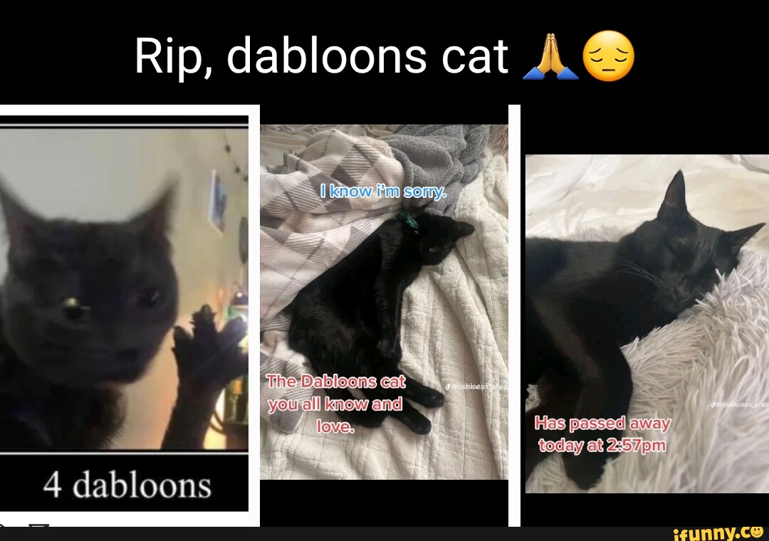 Dabloons memes. Best Collection of funny Dabloons pictures on iFunny