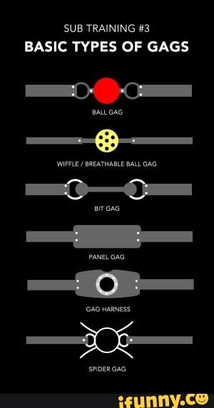 Sua TRAIN‘NG «3 BASIC TYPES OF GAGS - iFunny